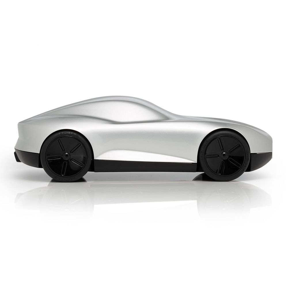 Jaguar | First edition Icon Model in Hakuba Silver.